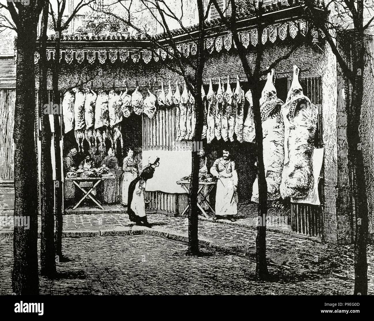 Butcher 19th century hi-res stock photography and images - Alamy