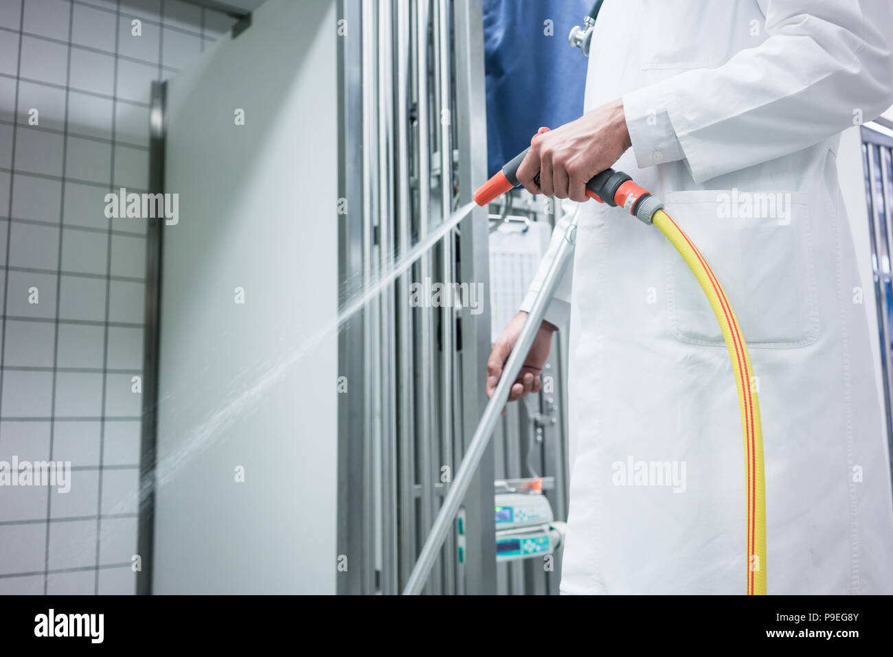 Veterinarian cleaning cage for animals in surgery Stock Photo - Alamy