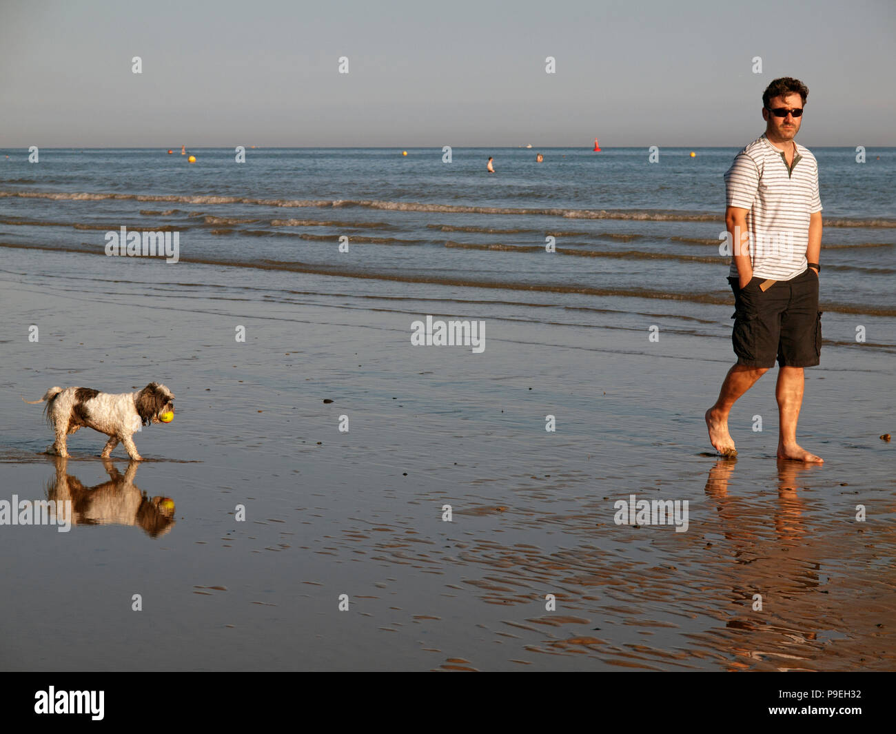 Brighton beach walking dog hi-res stock photography and images - Alamy