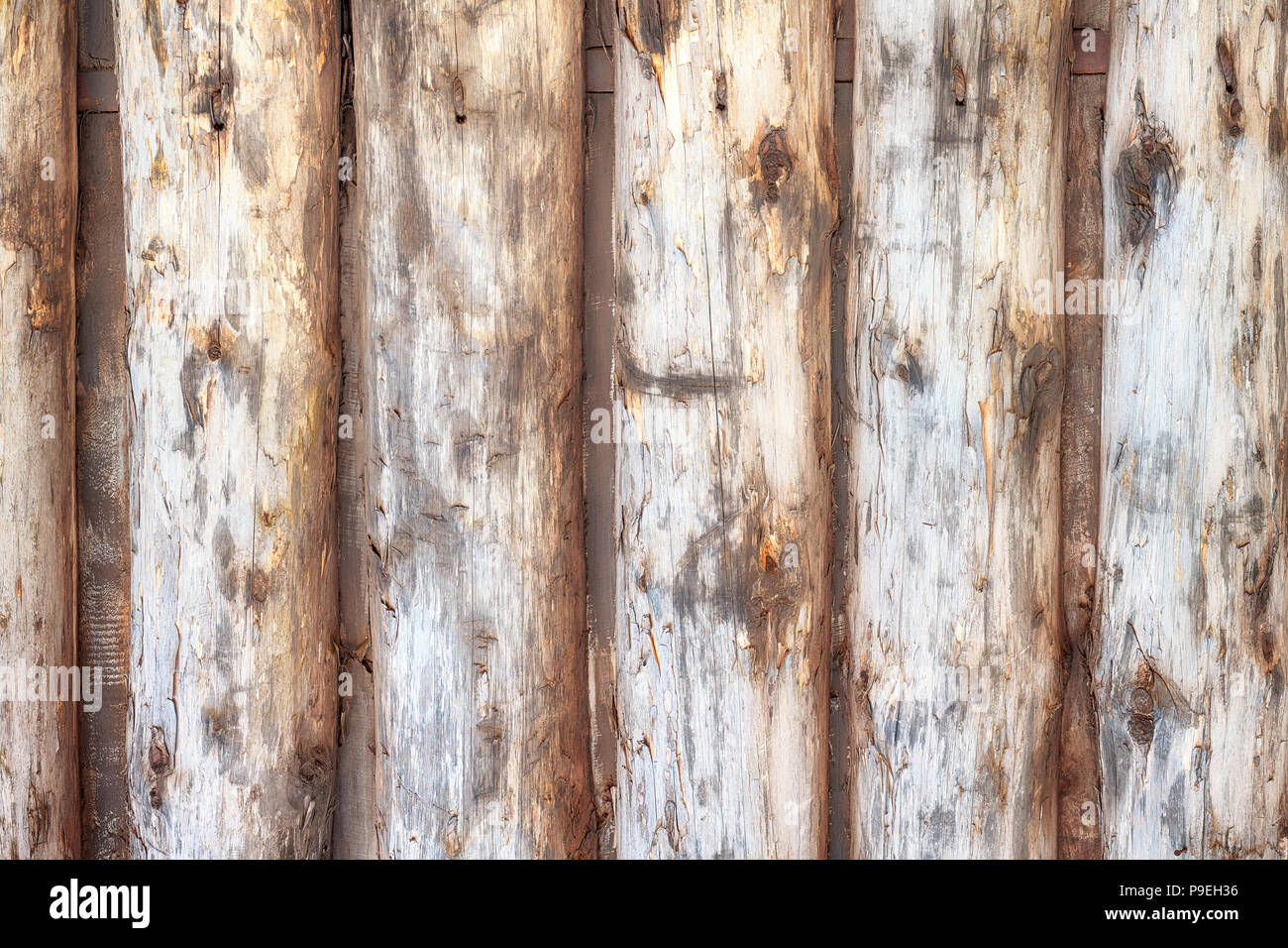 Log cabin wall texture hi-res stock photography and images - Alamy