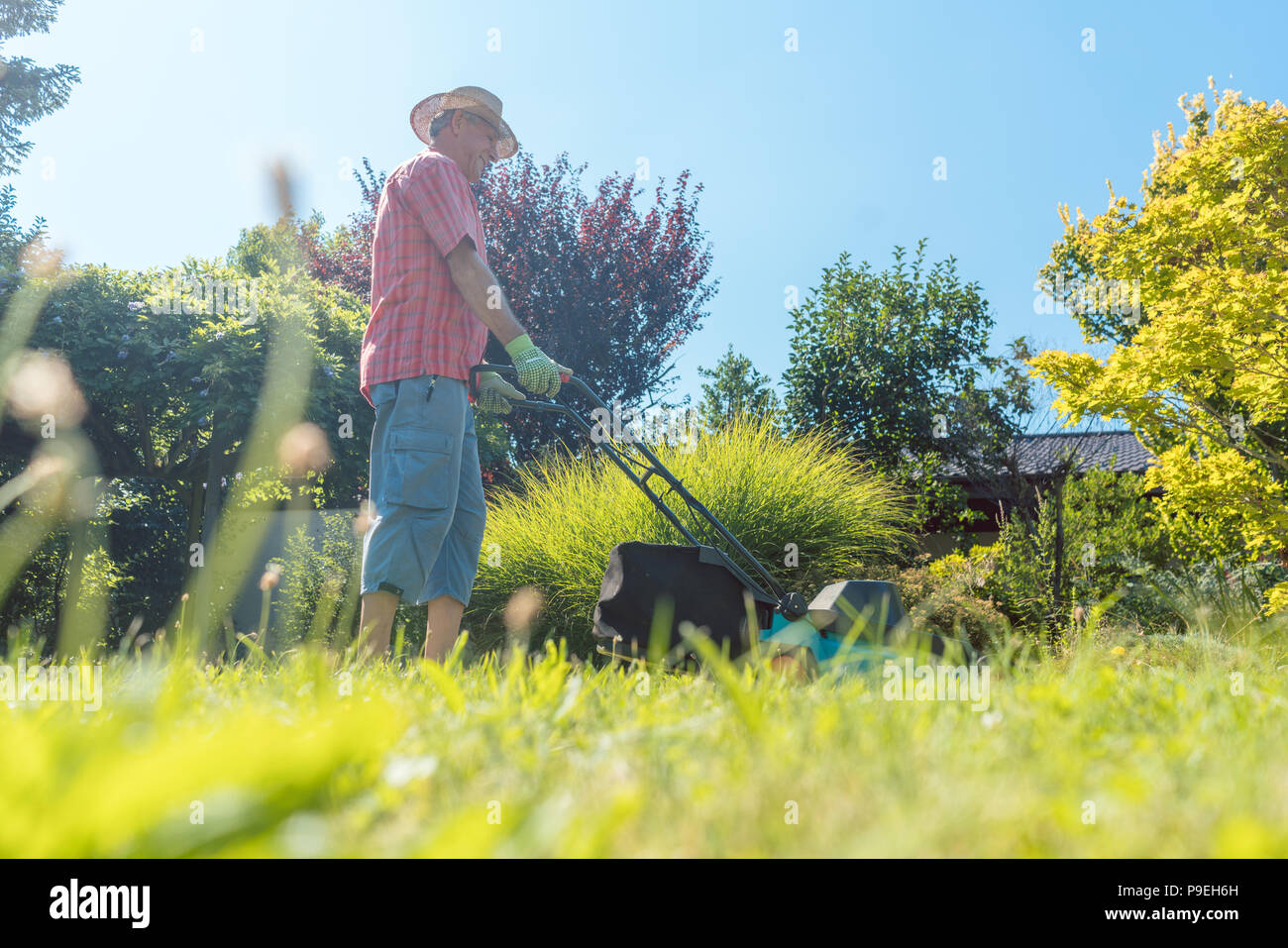 Grass cutting machine hi-res stock photography and images - Alamy