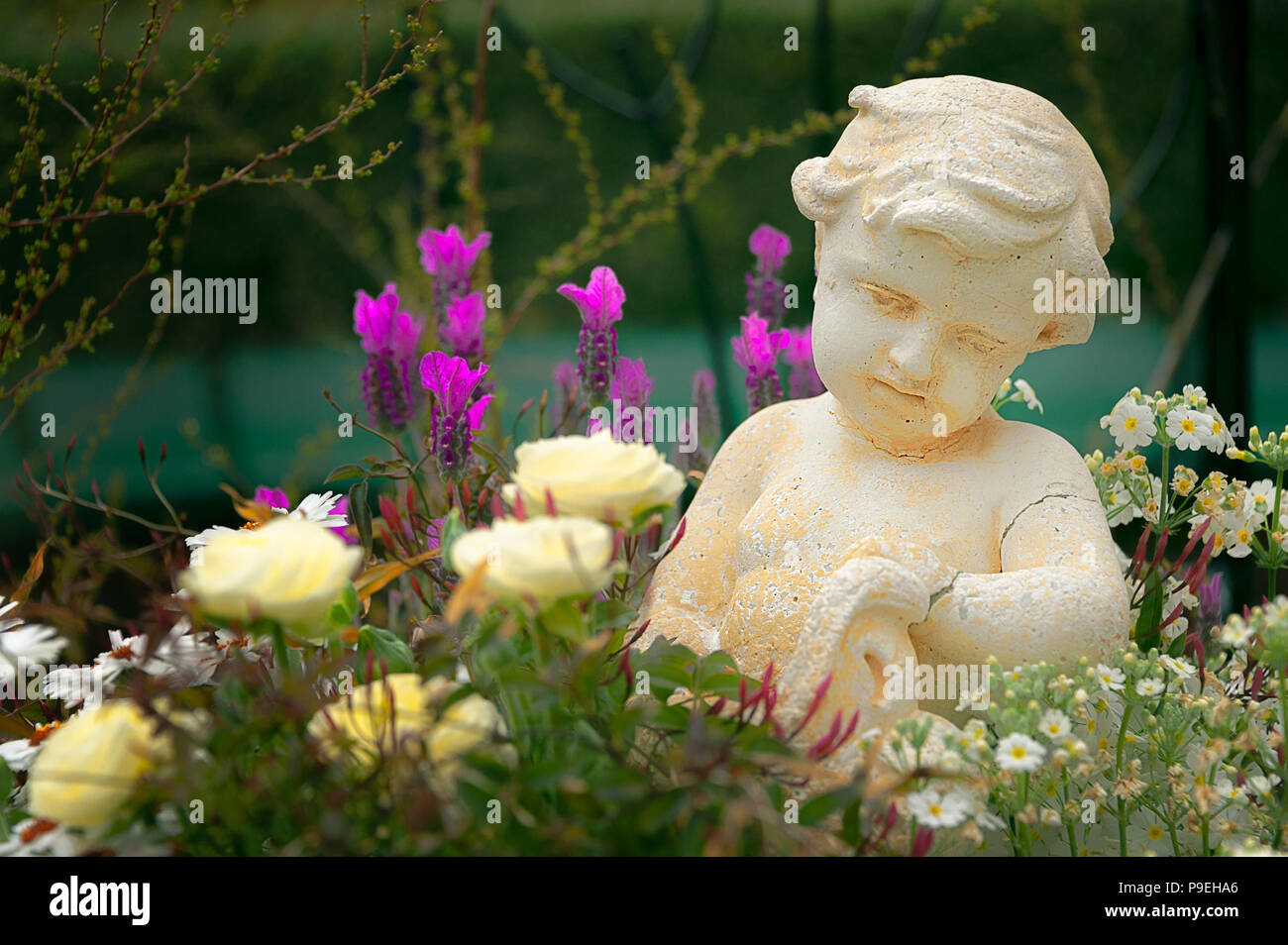 LITTLE ANGEL IN A FLOWER GARDEN. Sculpture of a cute little angel in a ...