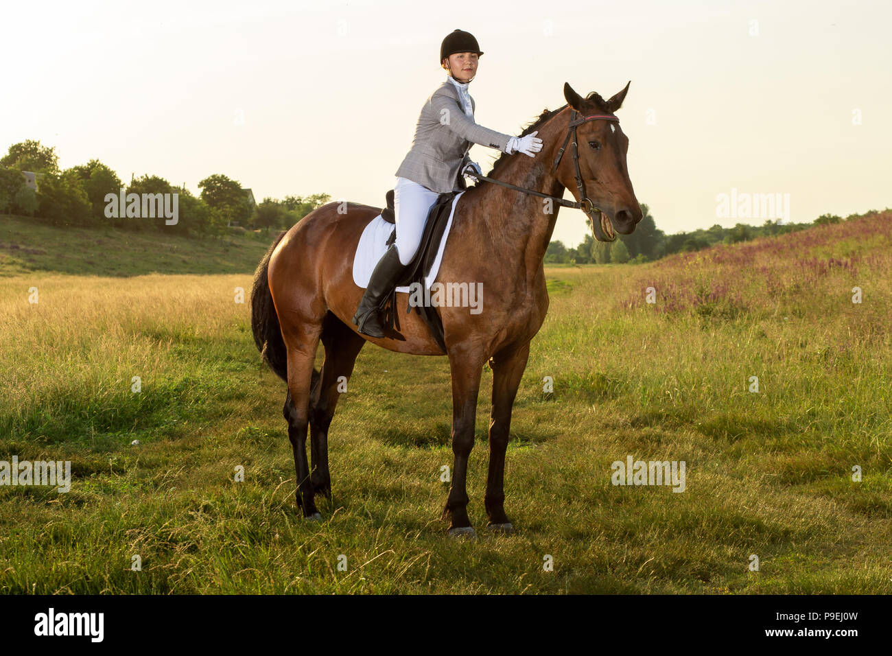 Equestrian sport. Young woman riding horse on dressage advanced test ...