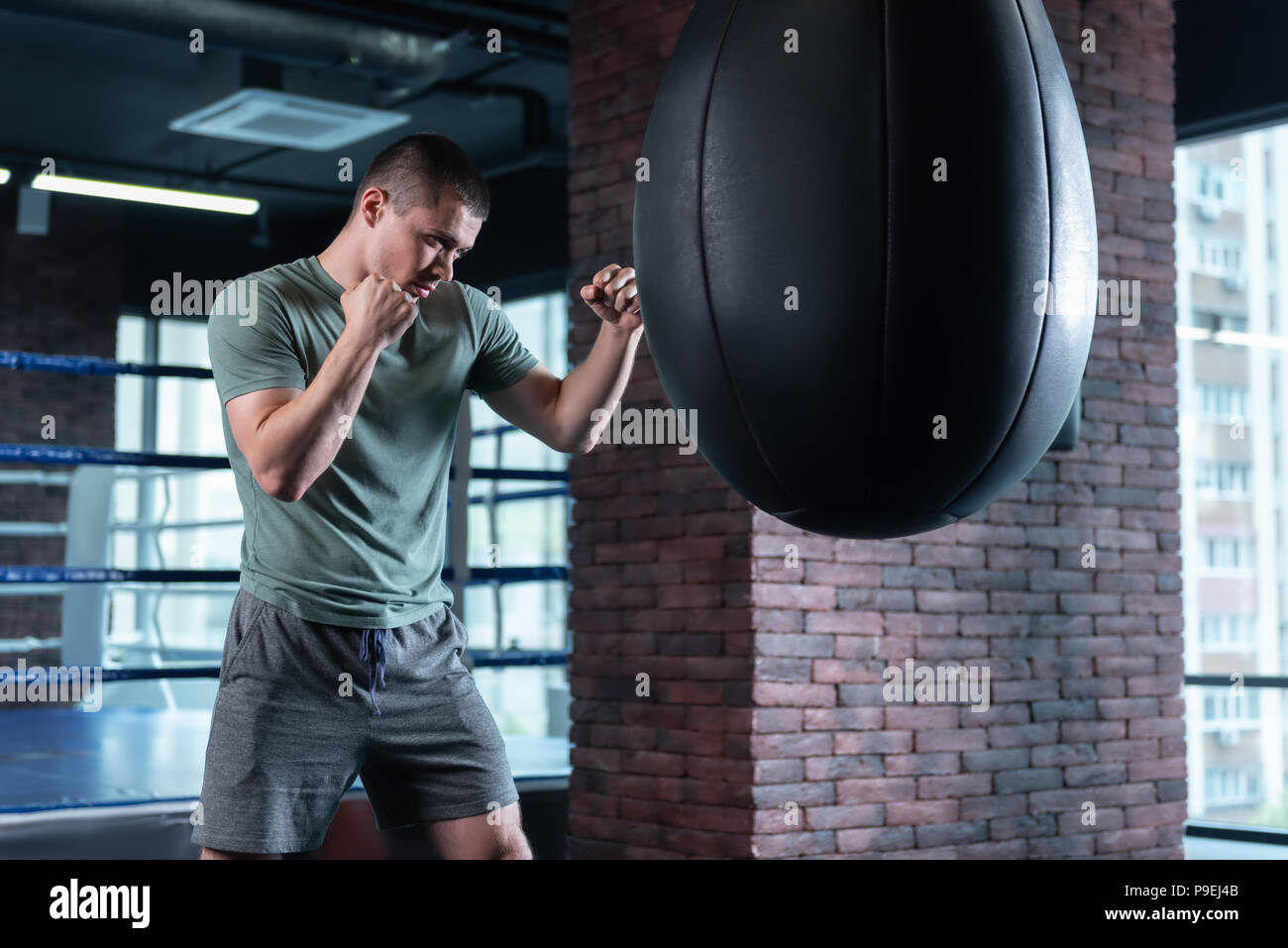 Professional boxer hi-res stock photography and images - Alamy