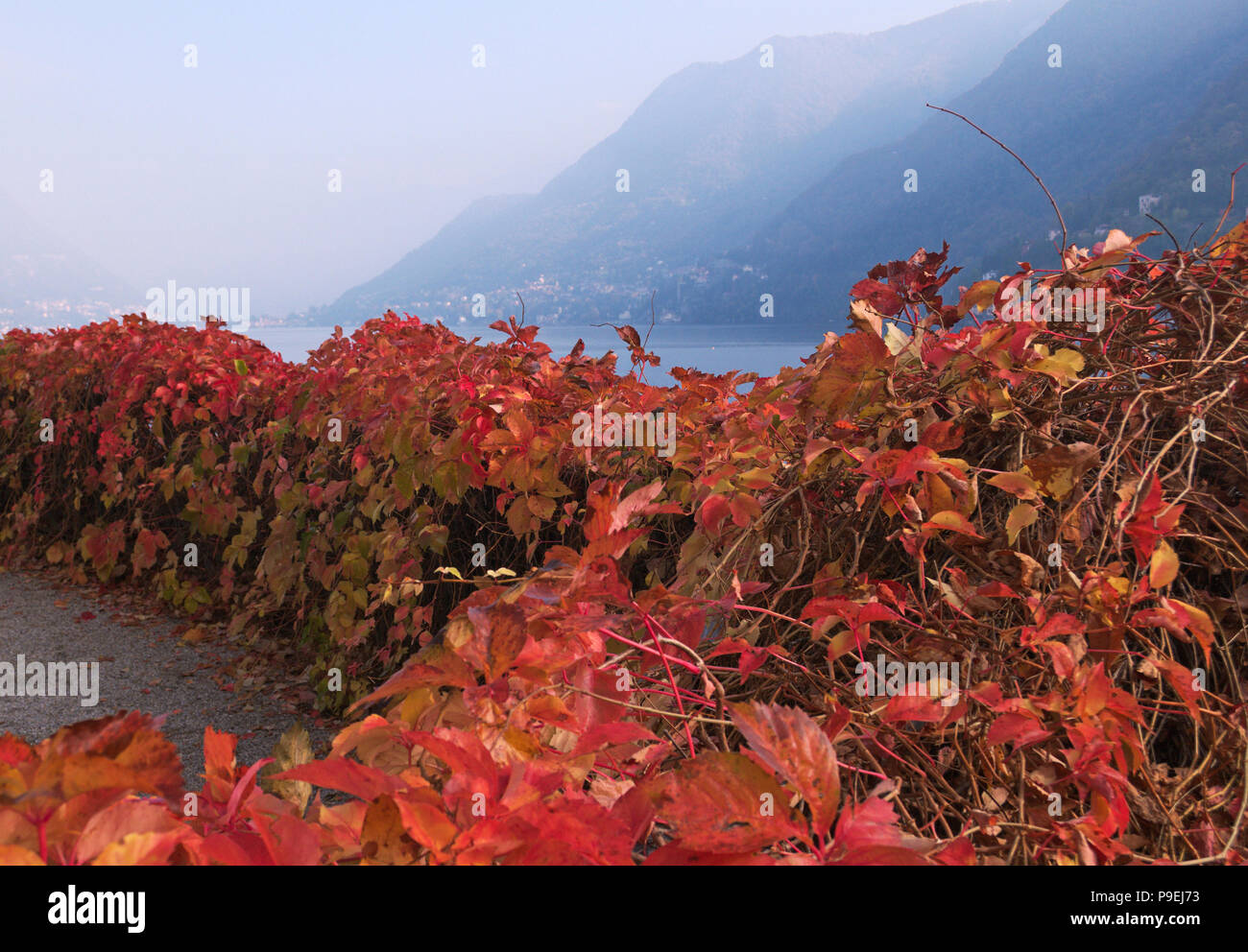 Lake como italy autumn hi-res stock photography and images - Alamy