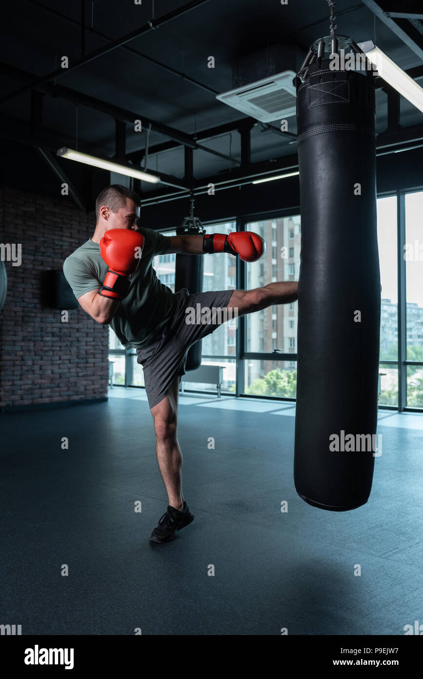 Active muscle hi-res stock photography and images - Alamy