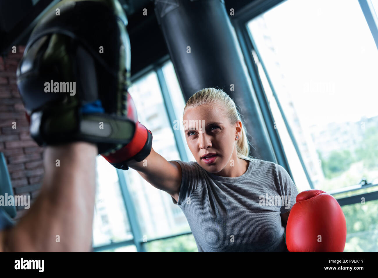 Female boxing match ring hi-res stock photography and images - Alamy