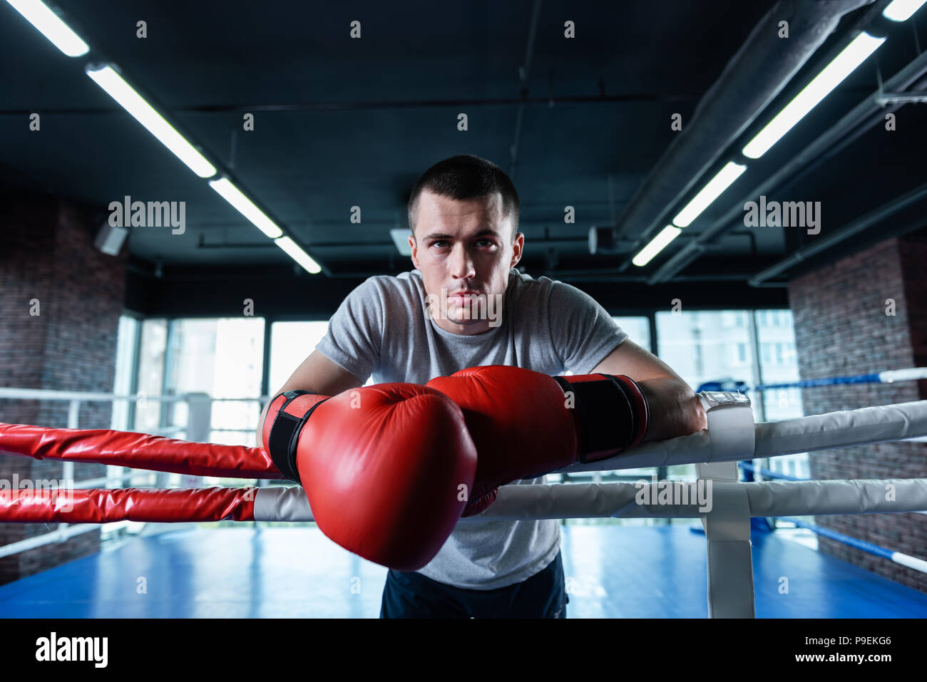 Handsome strong athletic man training hard on boxing ring Stock Photo ...