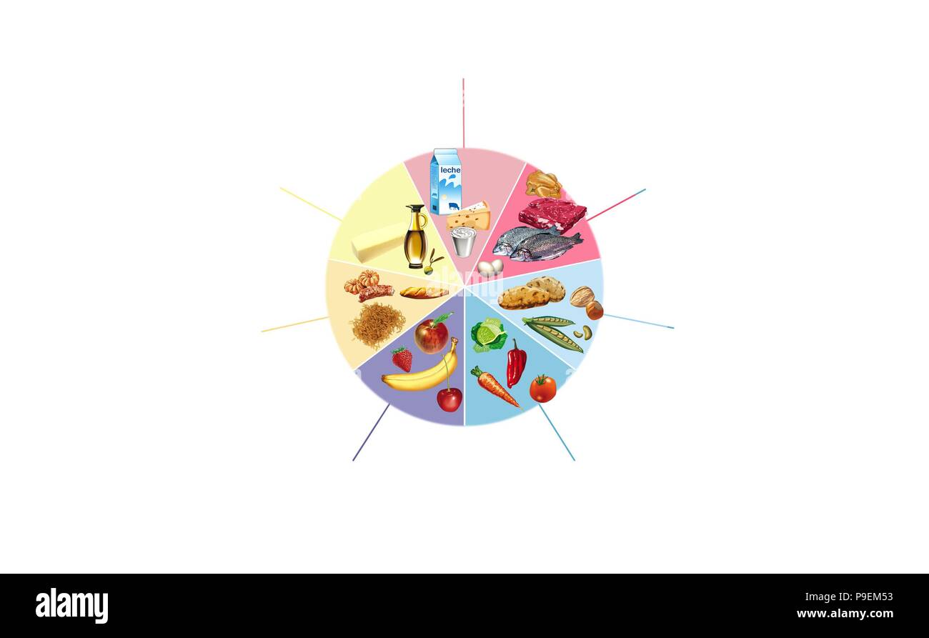 Nutrition physiology hi-res stock photography and images - Alamy