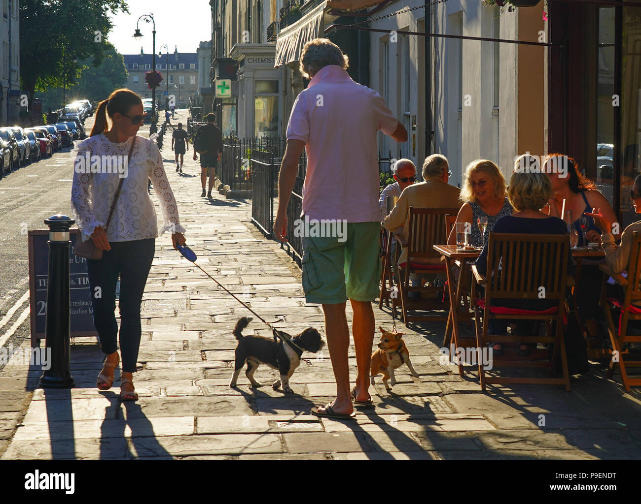 Dogs greeting other dogs hi-res stock photography and images - Alamy