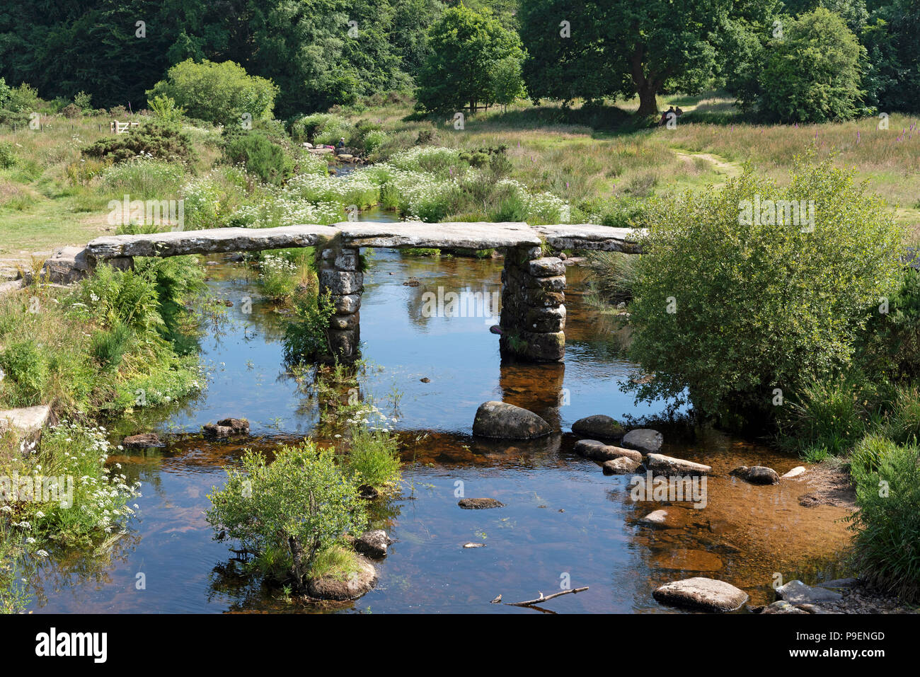 An ancient clapper bridge over the East Dart River at Postbridge ...