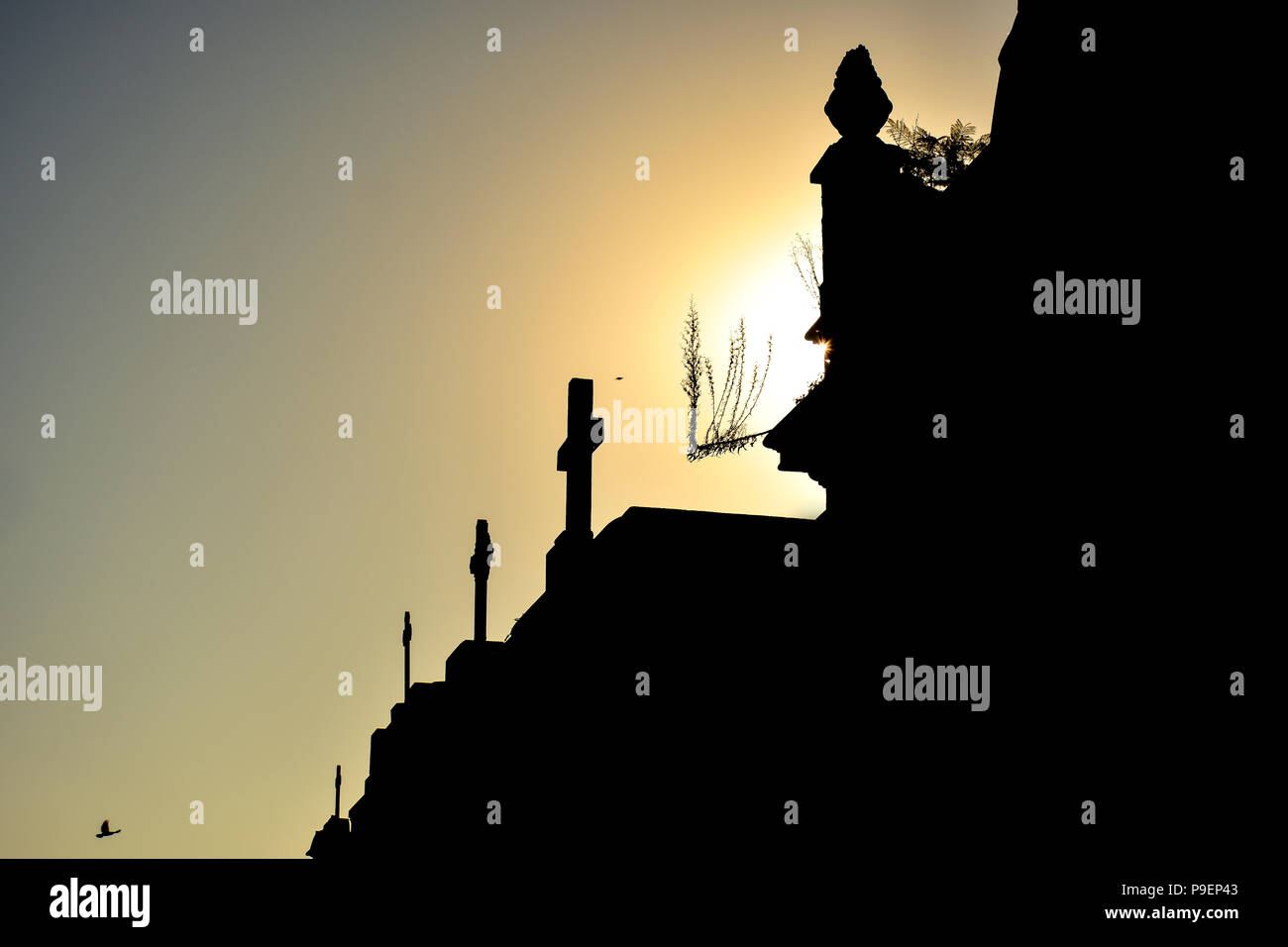 Cemetery Headstone Sun High Resolution Stock Photography and Images - Alamy