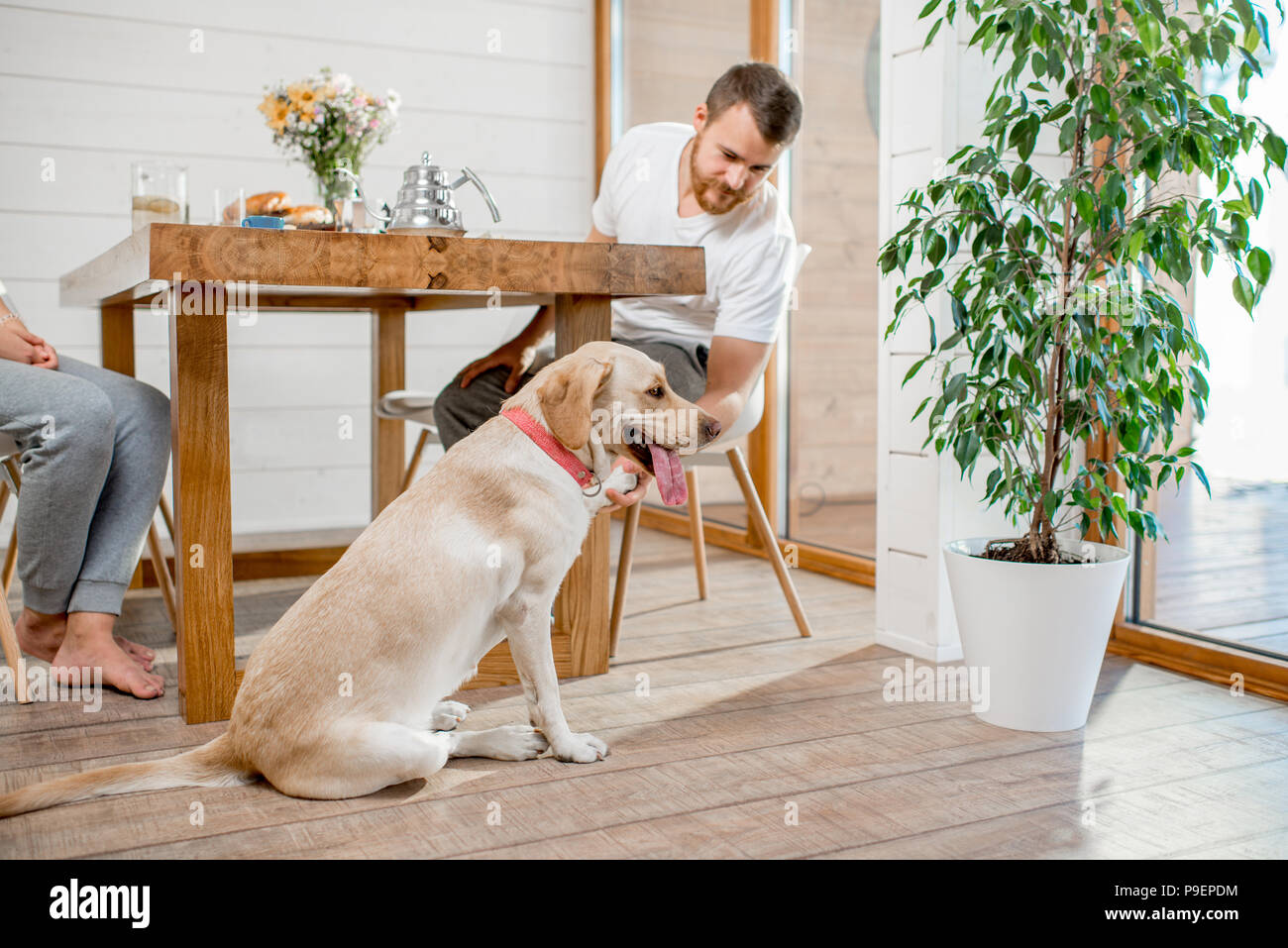 Couple with dog in the house Stock Photo - Alamy