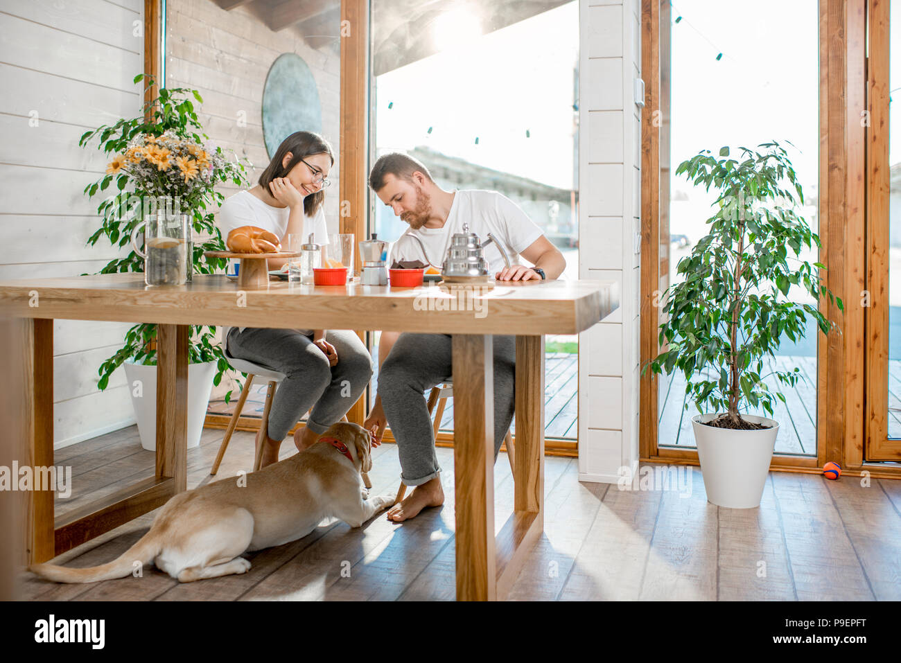 Dog eating under table hi-res stock photography and images - Alamy