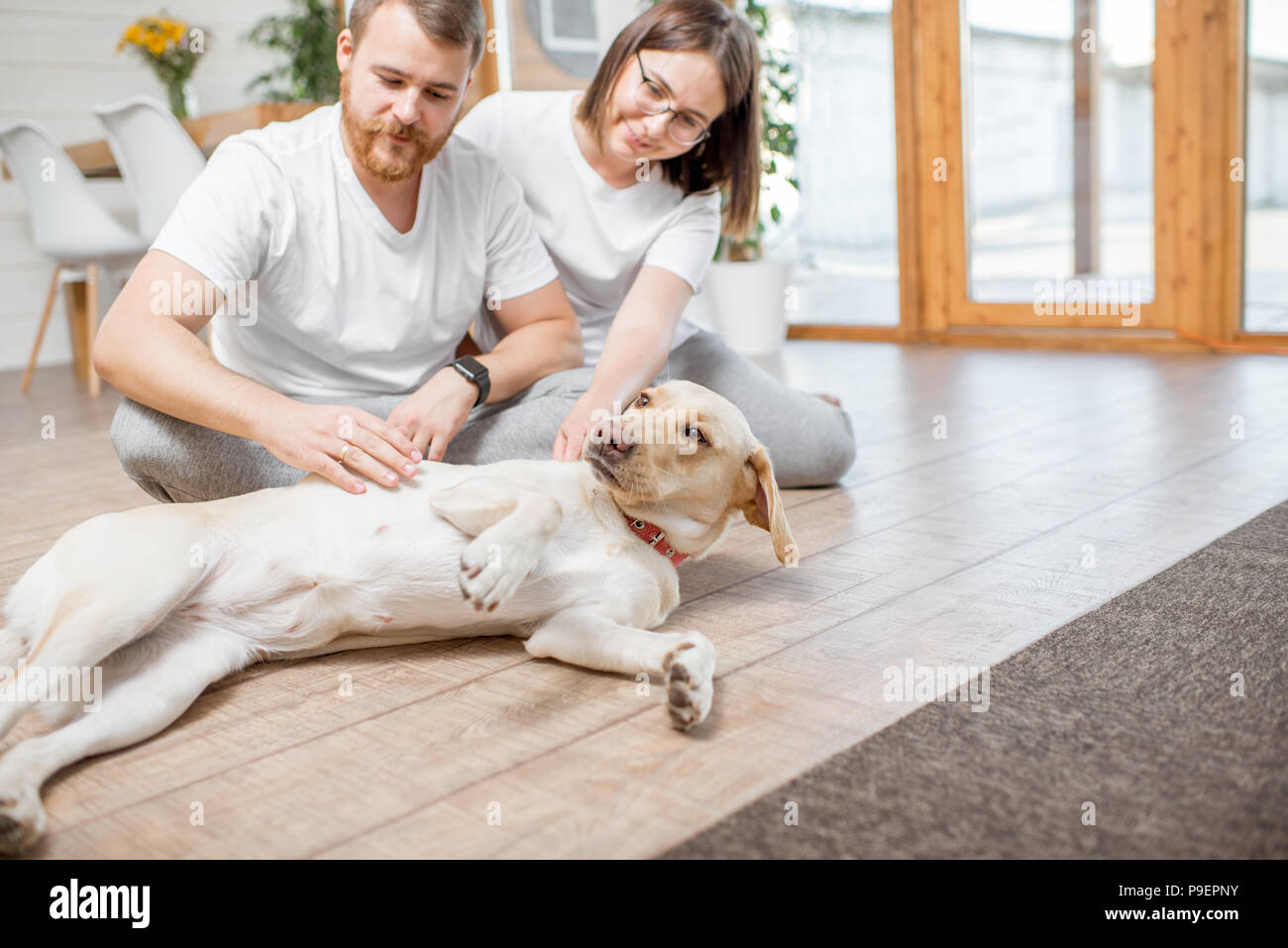 Family with dog in house hi-res stock photography and images - Alamy