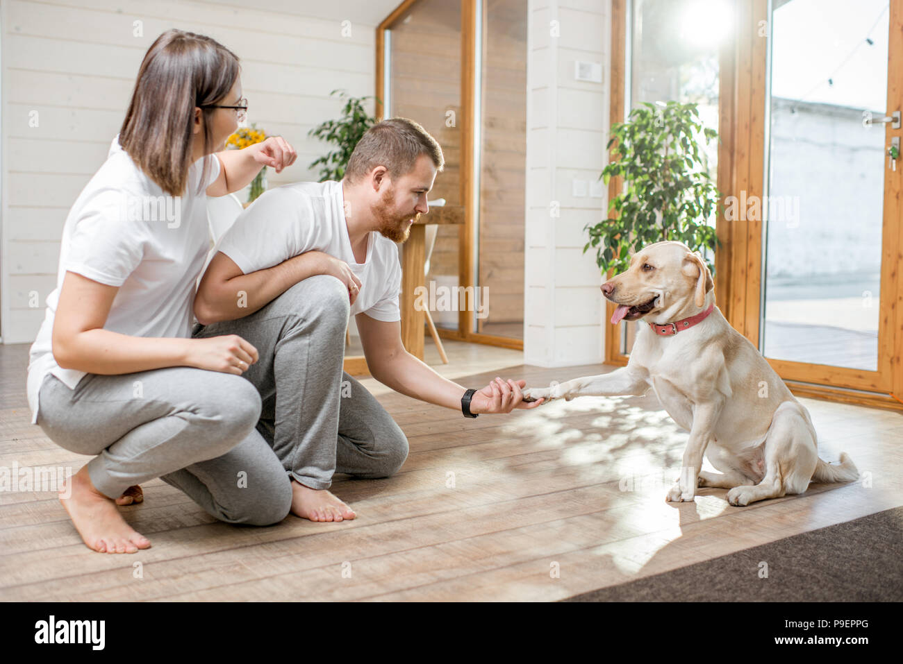 Couple with dog in the house Stock Photo - Alamy