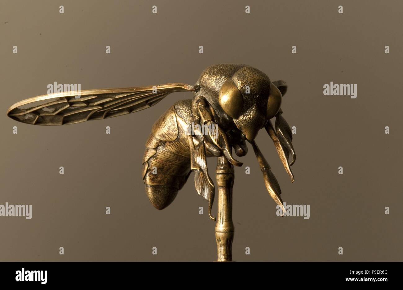 Antoni Gaudí. Bee. Museum of Mataró Stock Photo - Alamy