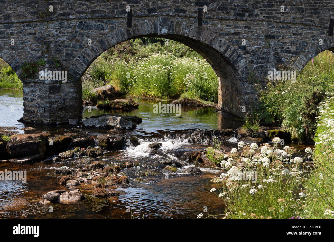 The East Dart River flowing under the stonebridge which dates from 1780 ...