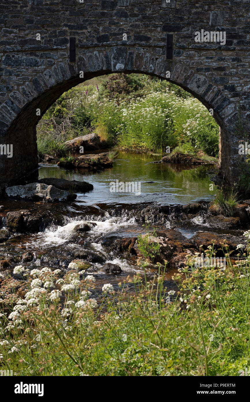 The East Dart River flowing under the stonebridge which dates from 1780 ...