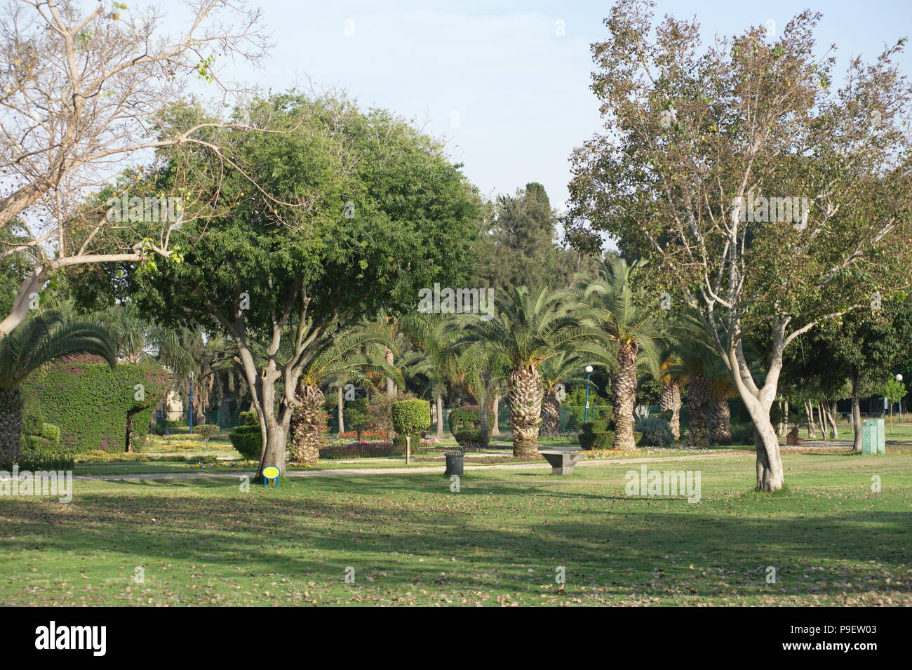park with trees and herbs, large area Stock Photo - Alamy