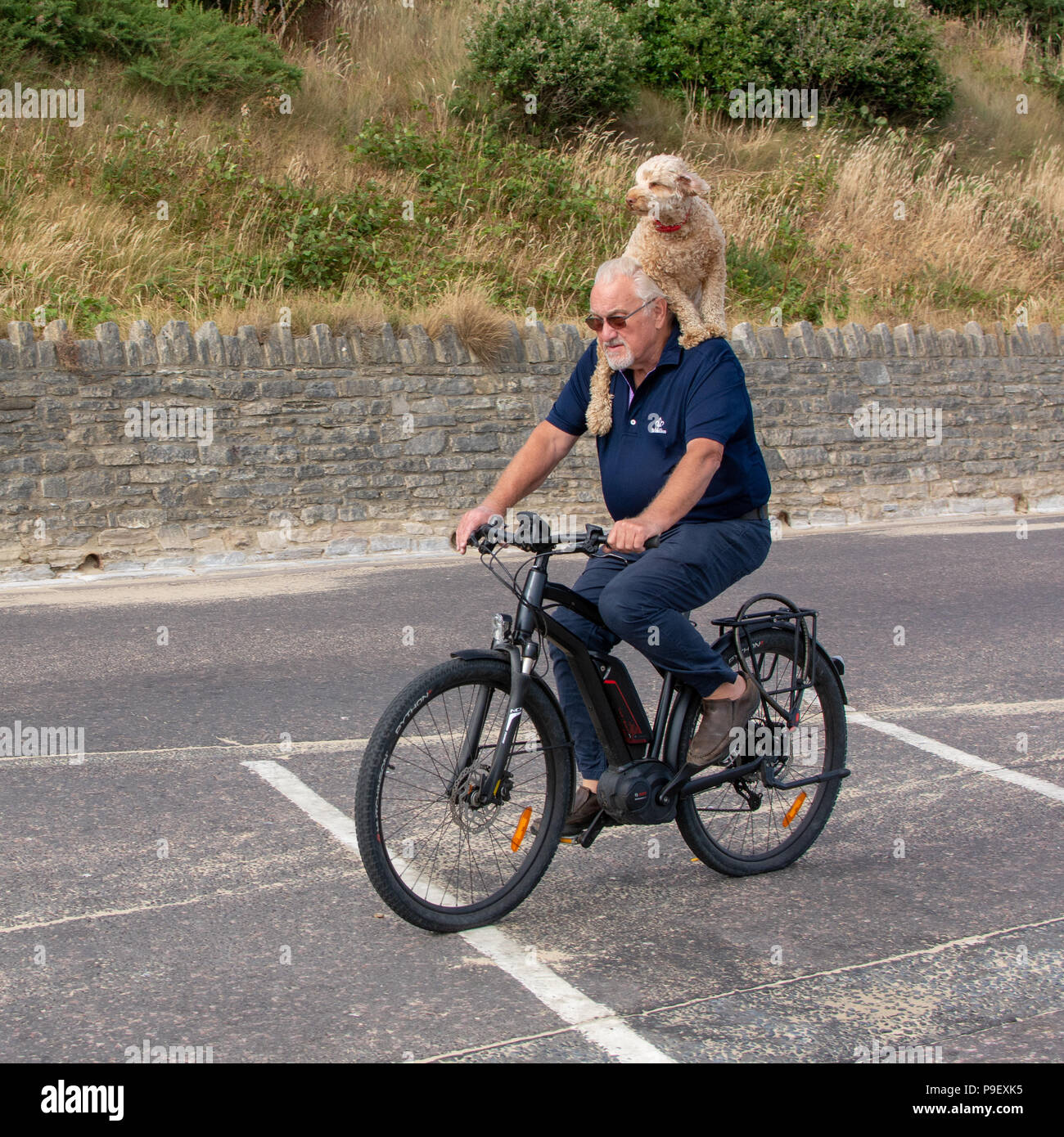 Riding a dog hi-res stock photography and images - Alamy