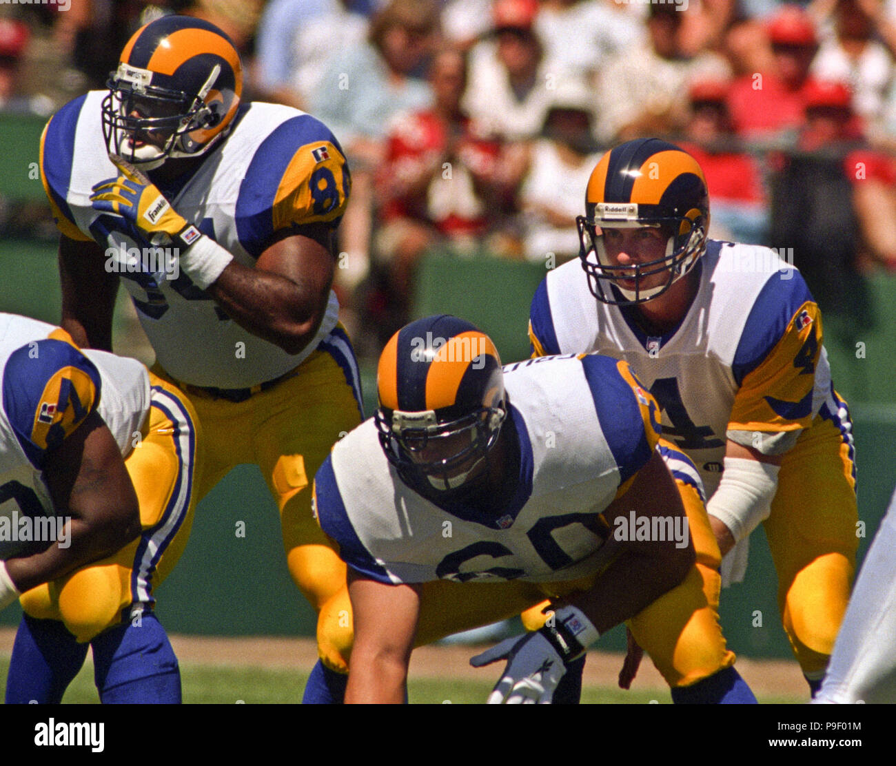 Steve walsh hi-res stock photography and images - Alamy