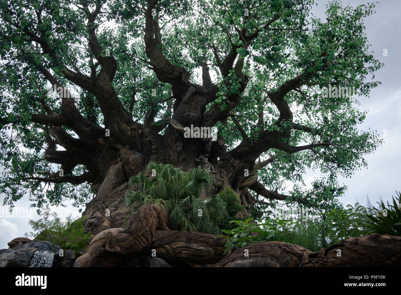 Orlando, FL, USA. 14th July, 2018. The Tree of Life located in Animal ...