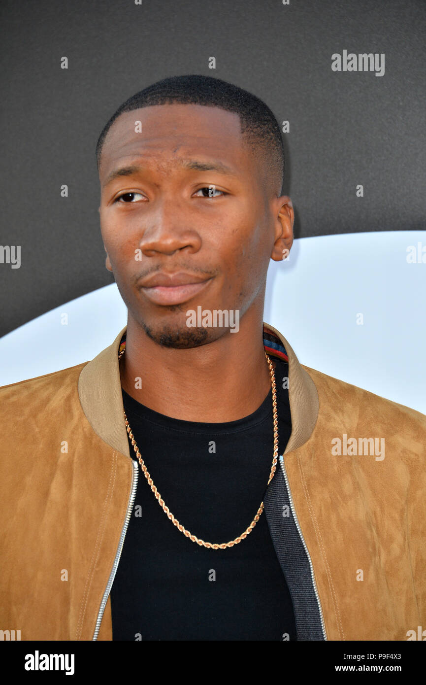 Los Angeles, USA. 17th July 2018. Wesley Johnson at the premiere for ...