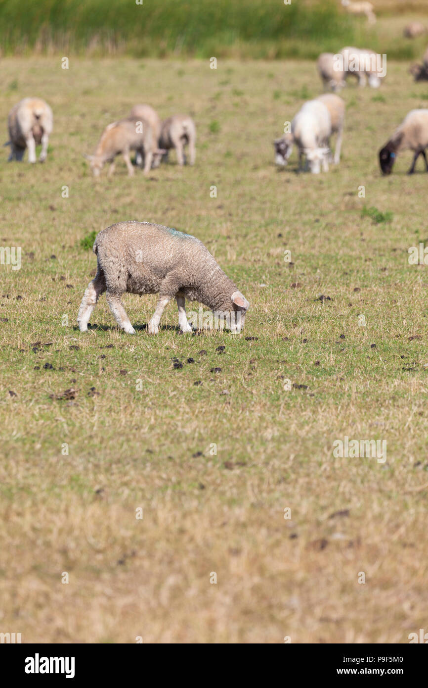 Signs of rain hi-res stock photography and images - Alamy