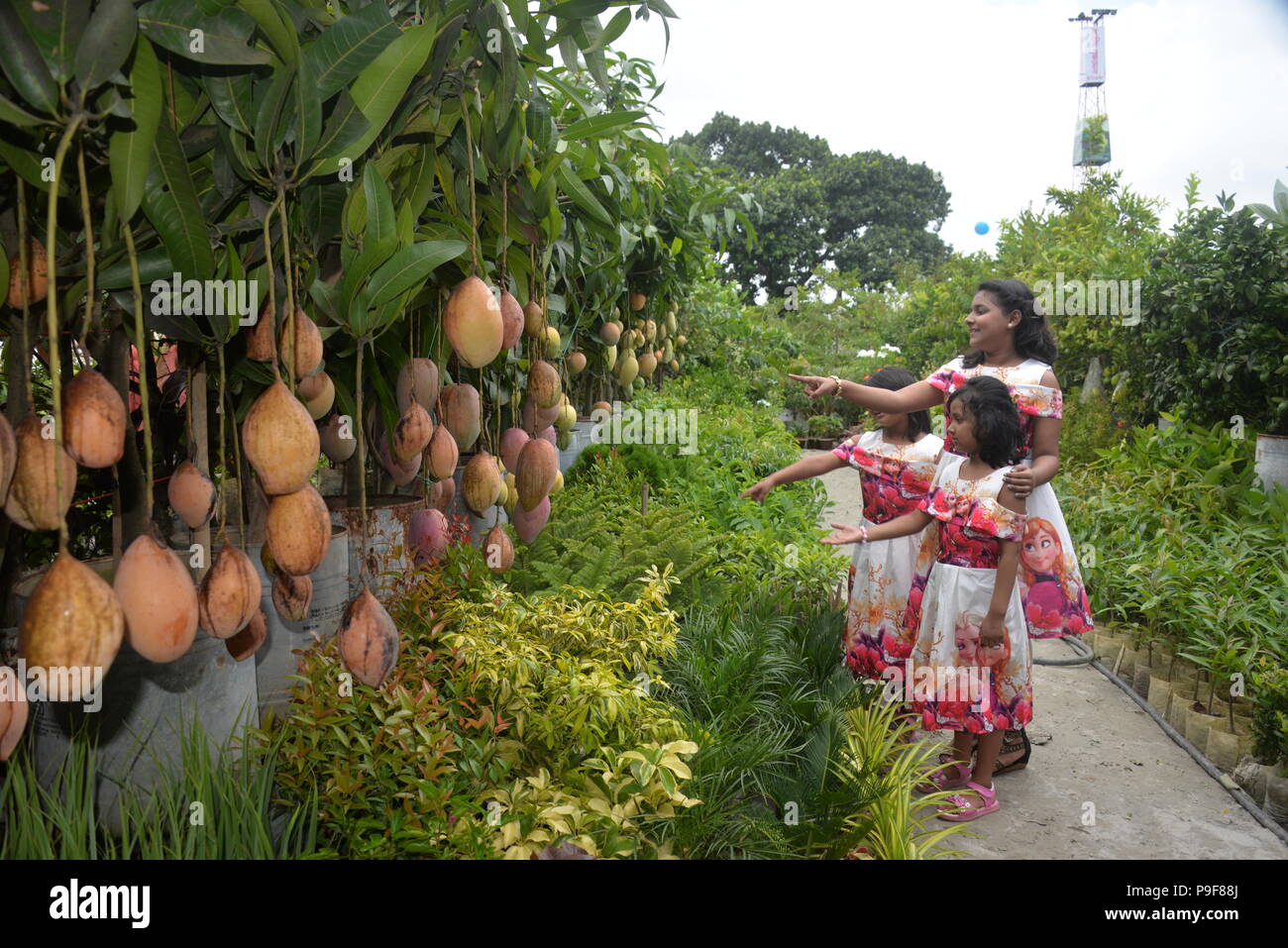 Dhaka. 18th July, 2018. Visitors view plants, trees and saplings at ...