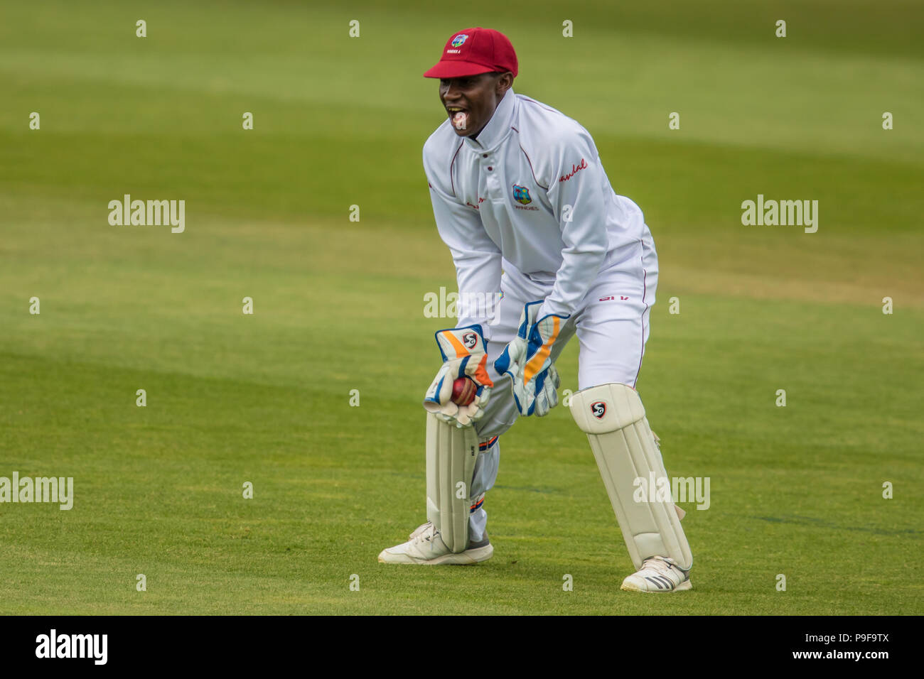 Devon thomas cricket hi-res stock photography and images - Alamy