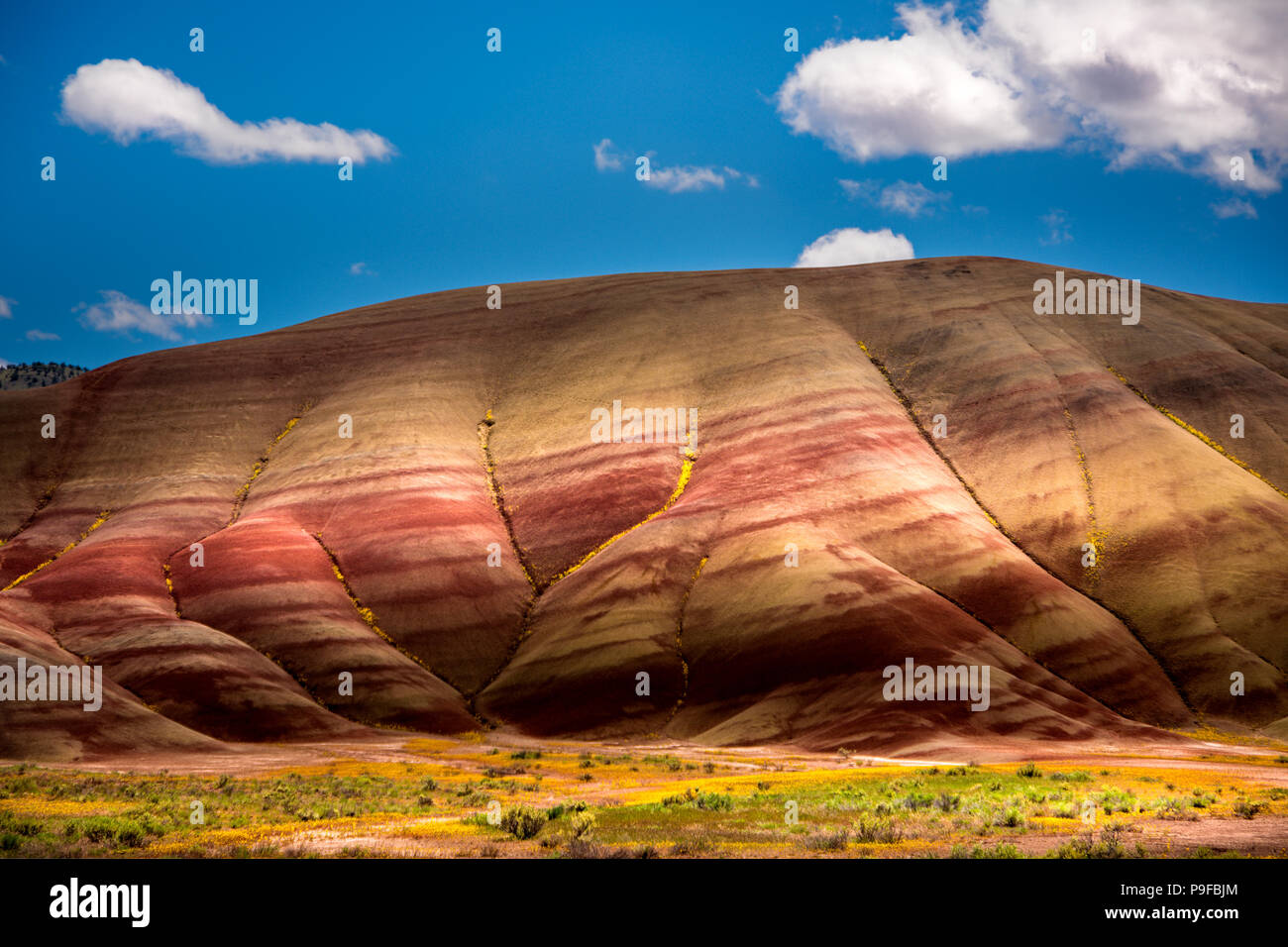 Mitchell grass hi-res stock photography and images - Alamy