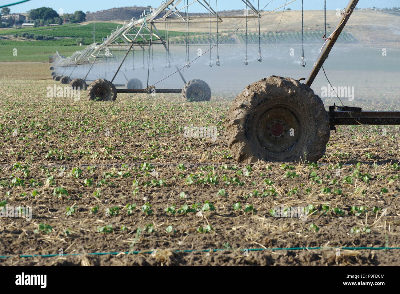 Irrigation cart hi-res stock photography and images - Alamy