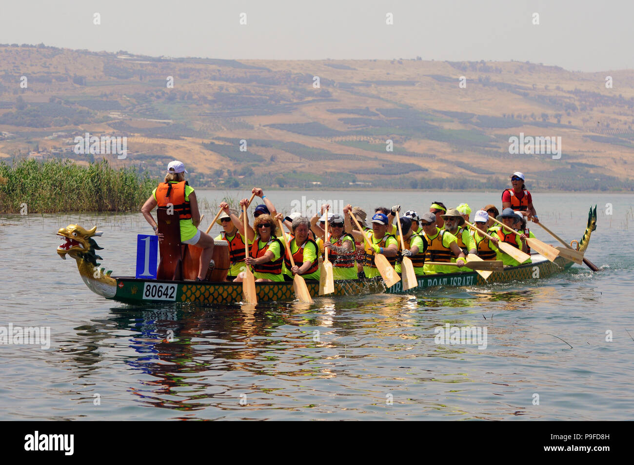 Dragon boat oars asia hi-res stock photography and images - Alamy