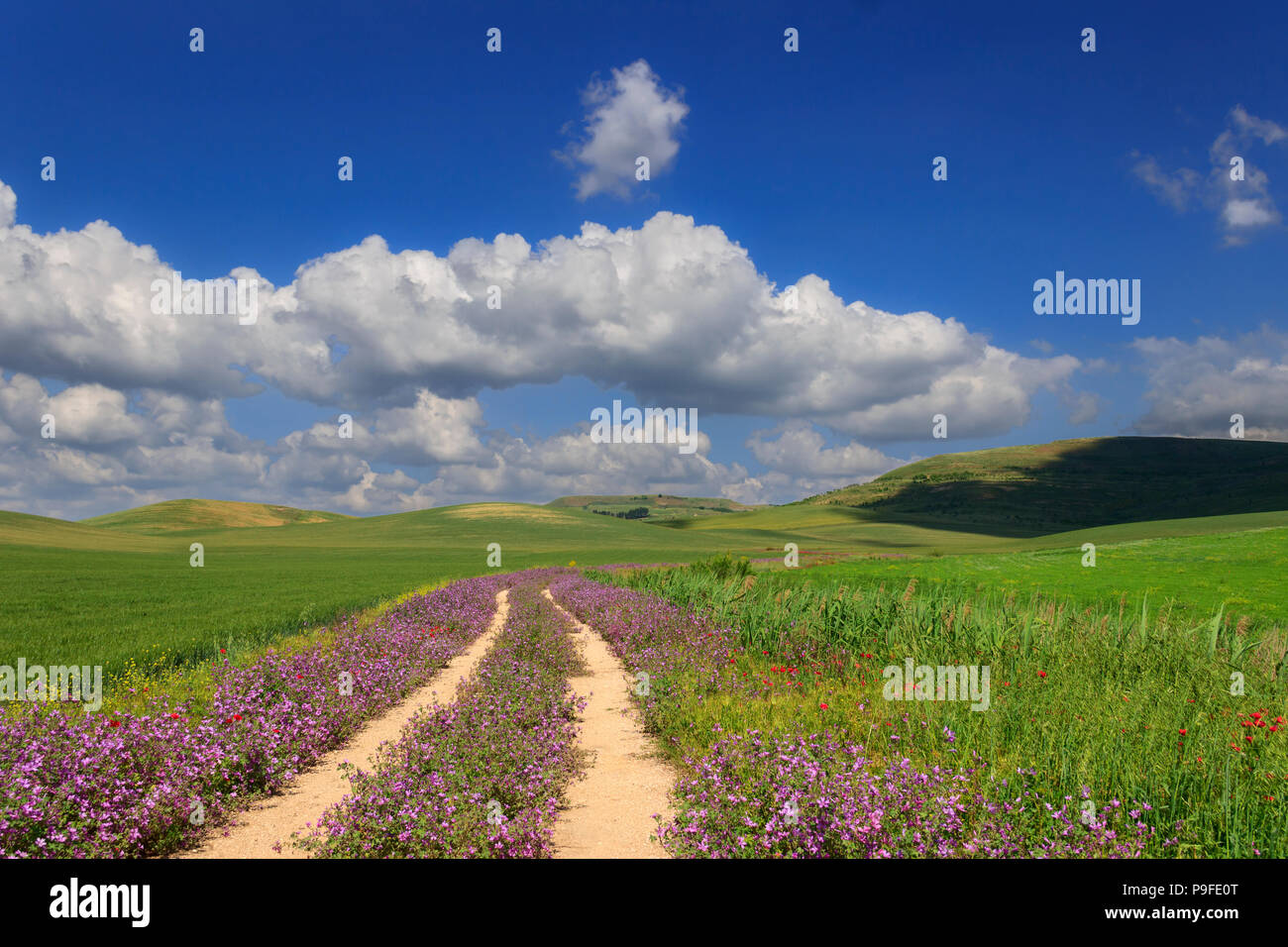 Hill country hilly landscape hi-res stock photography and images - Alamy