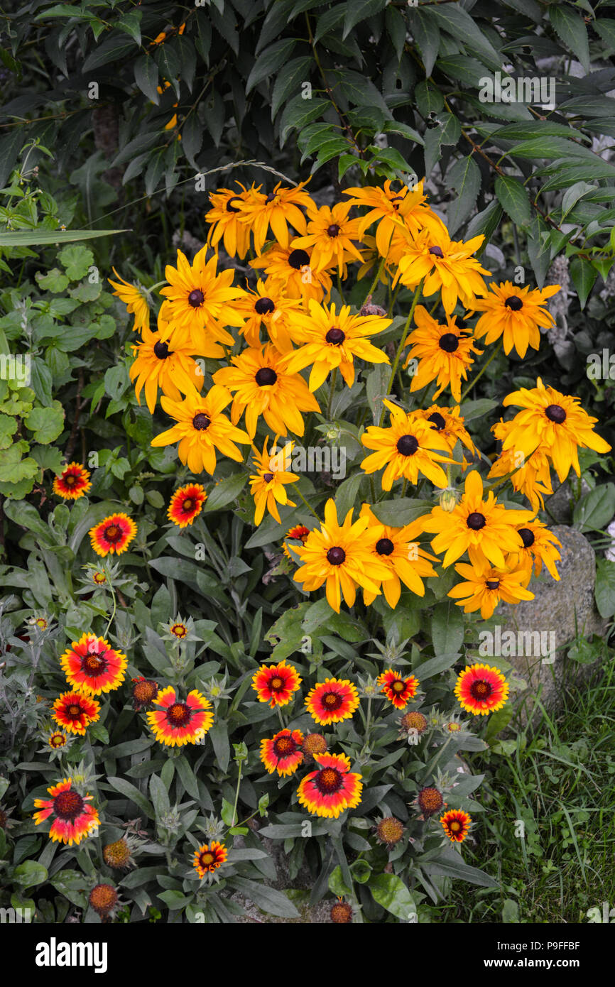 Varicolored High Resolution Stock Photography and Images - Alamy