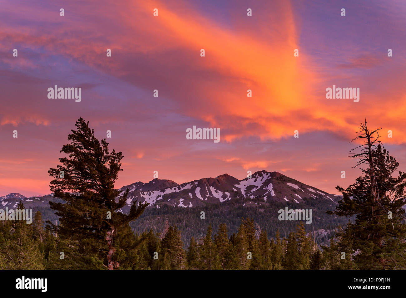 Carson Pass High Resolution Stock Photography and Images - Alamy