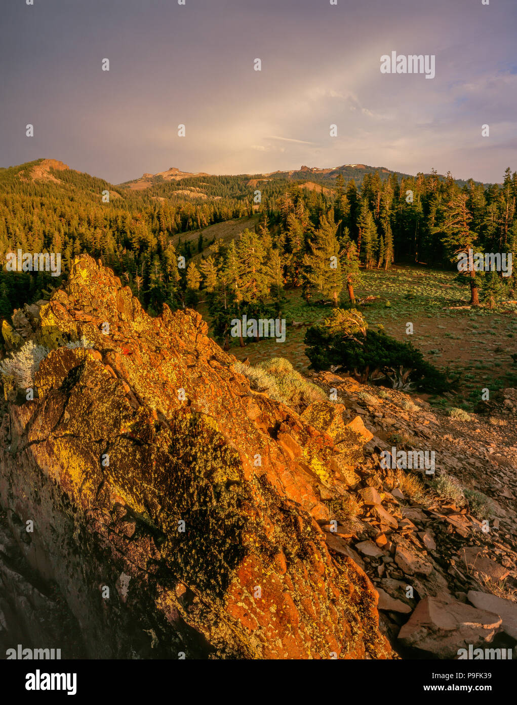 Emigrant wilderness stanislaus national forest hi-res stock photography ...