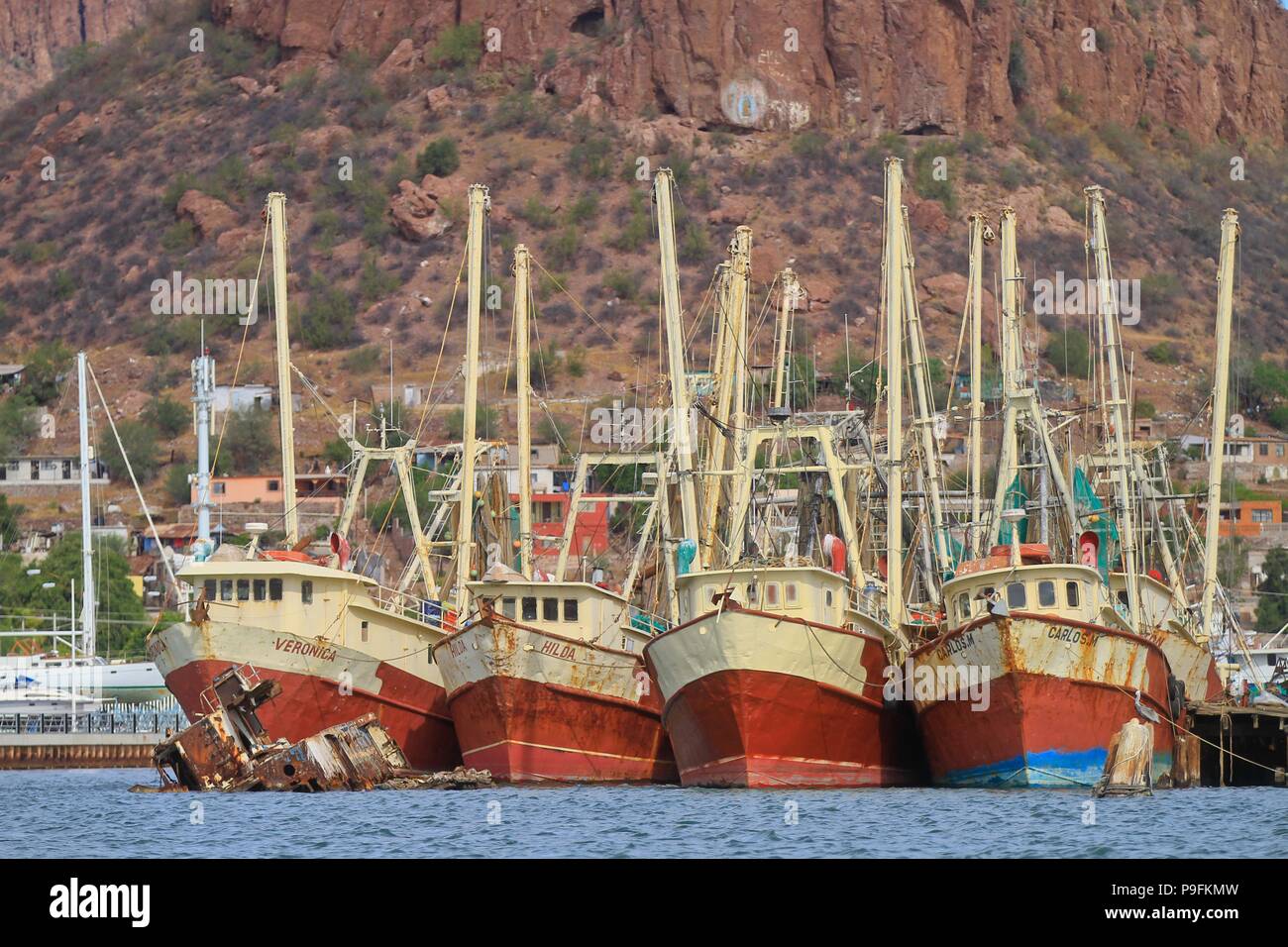 Report of the fishing port of Guaymas Sonora. Reportaje del puerto ...