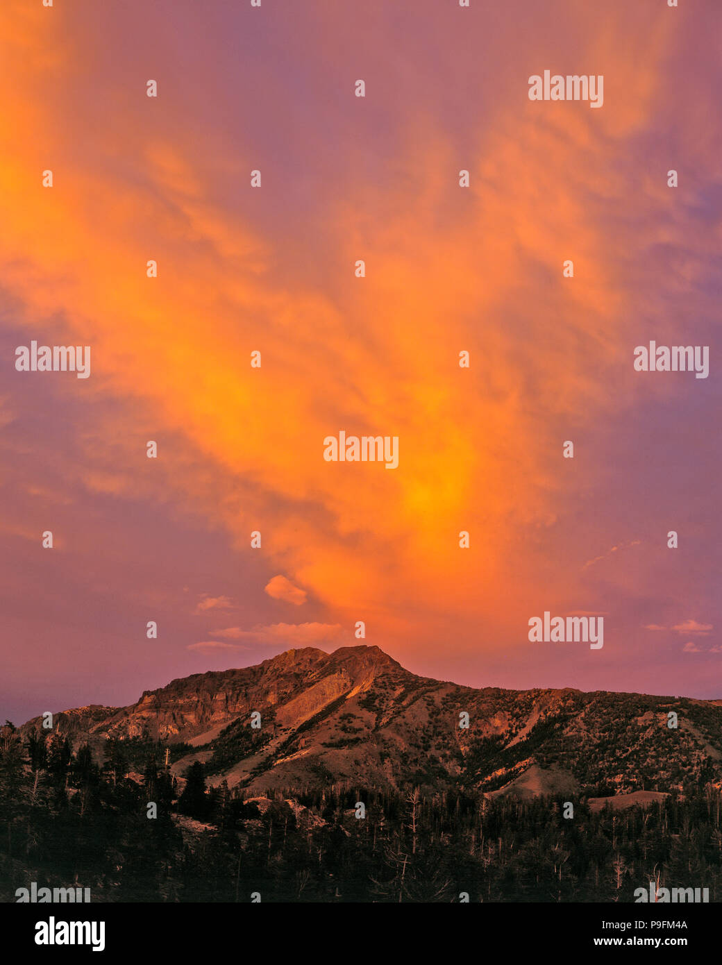 Silver If High Resolution Stock Photography and Images - Alamy