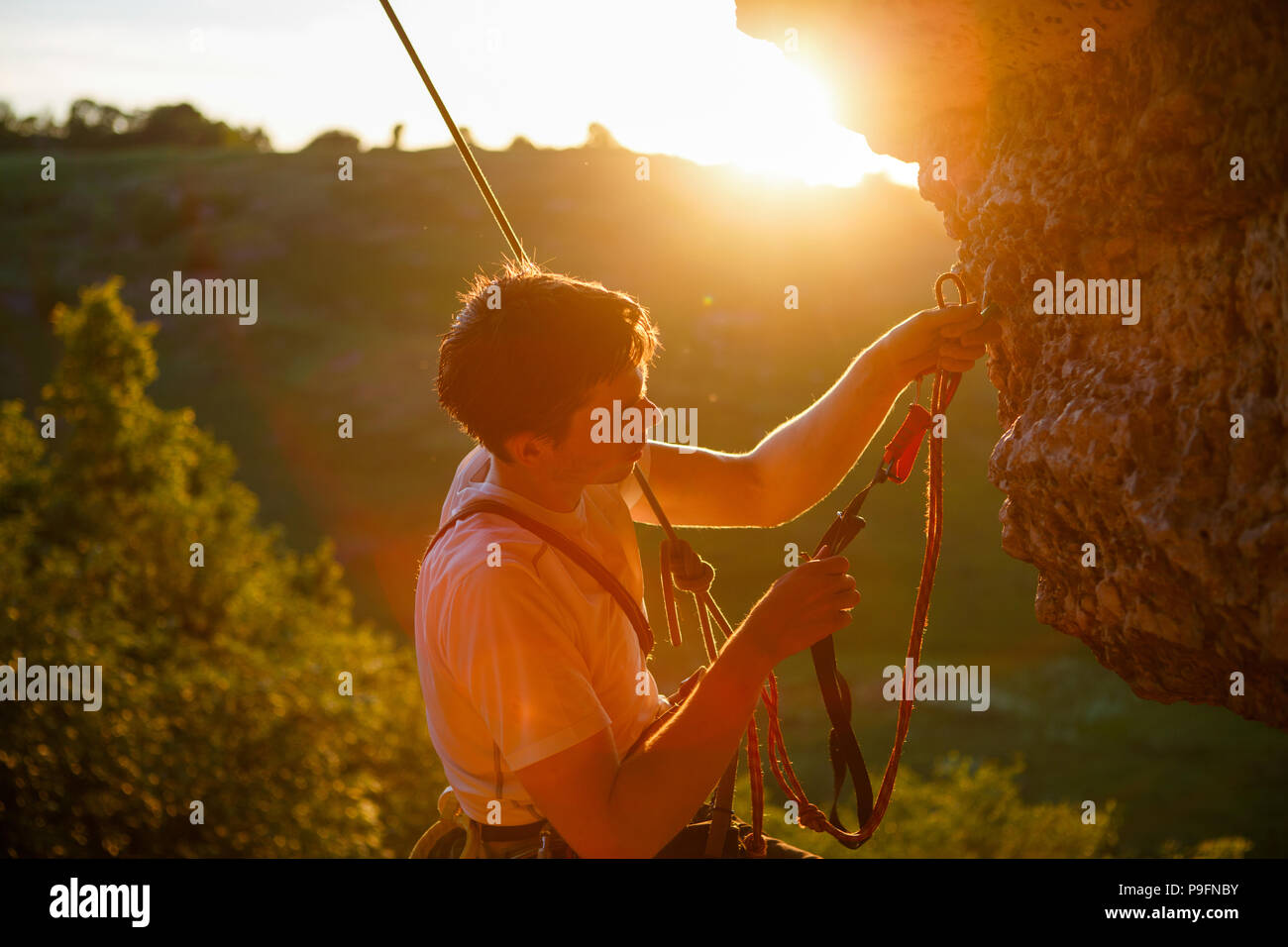 Plants for difficult area hi-res stock photography and images - Alamy