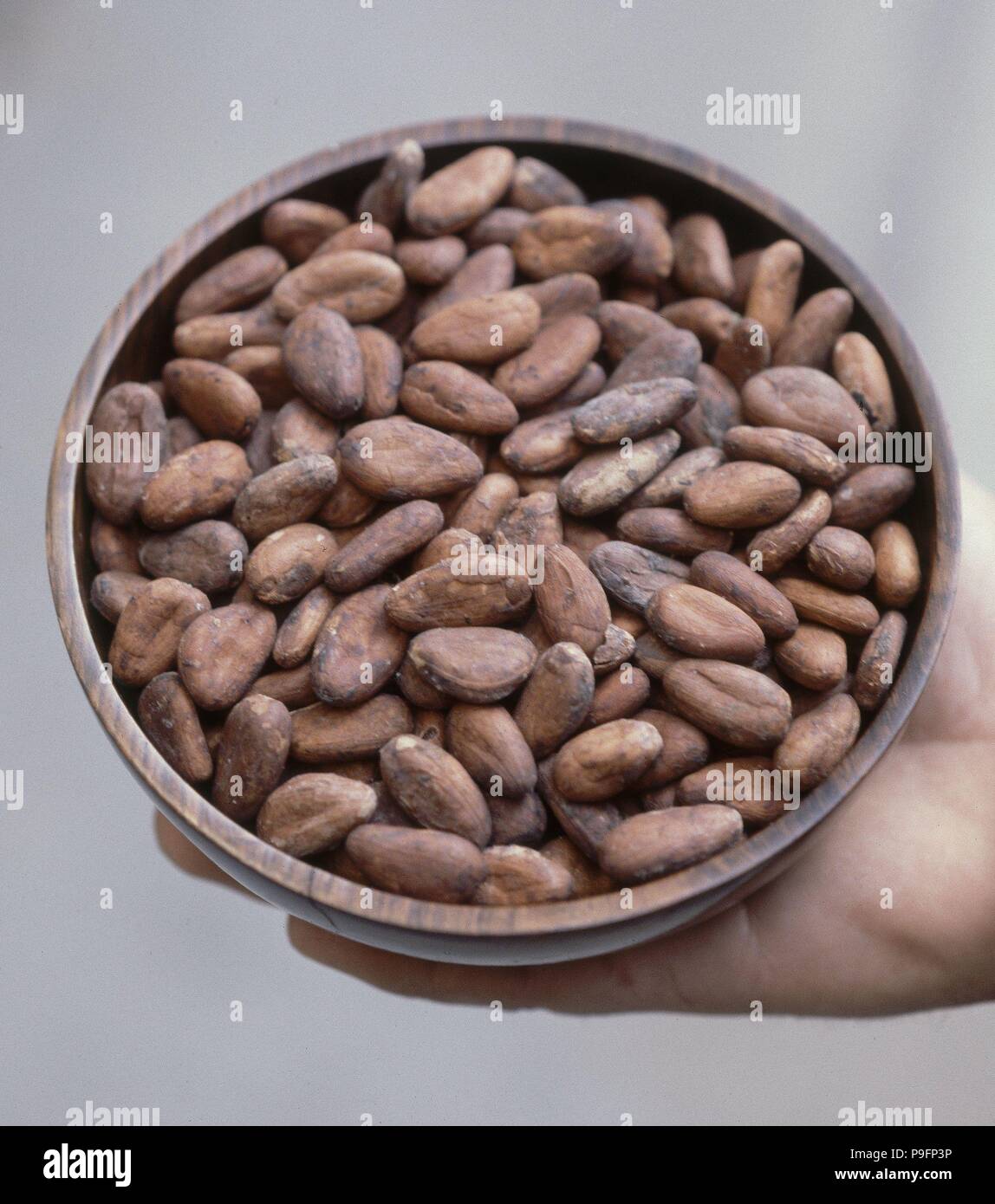 Planta de cacao hi-res stock photography and images - Alamy