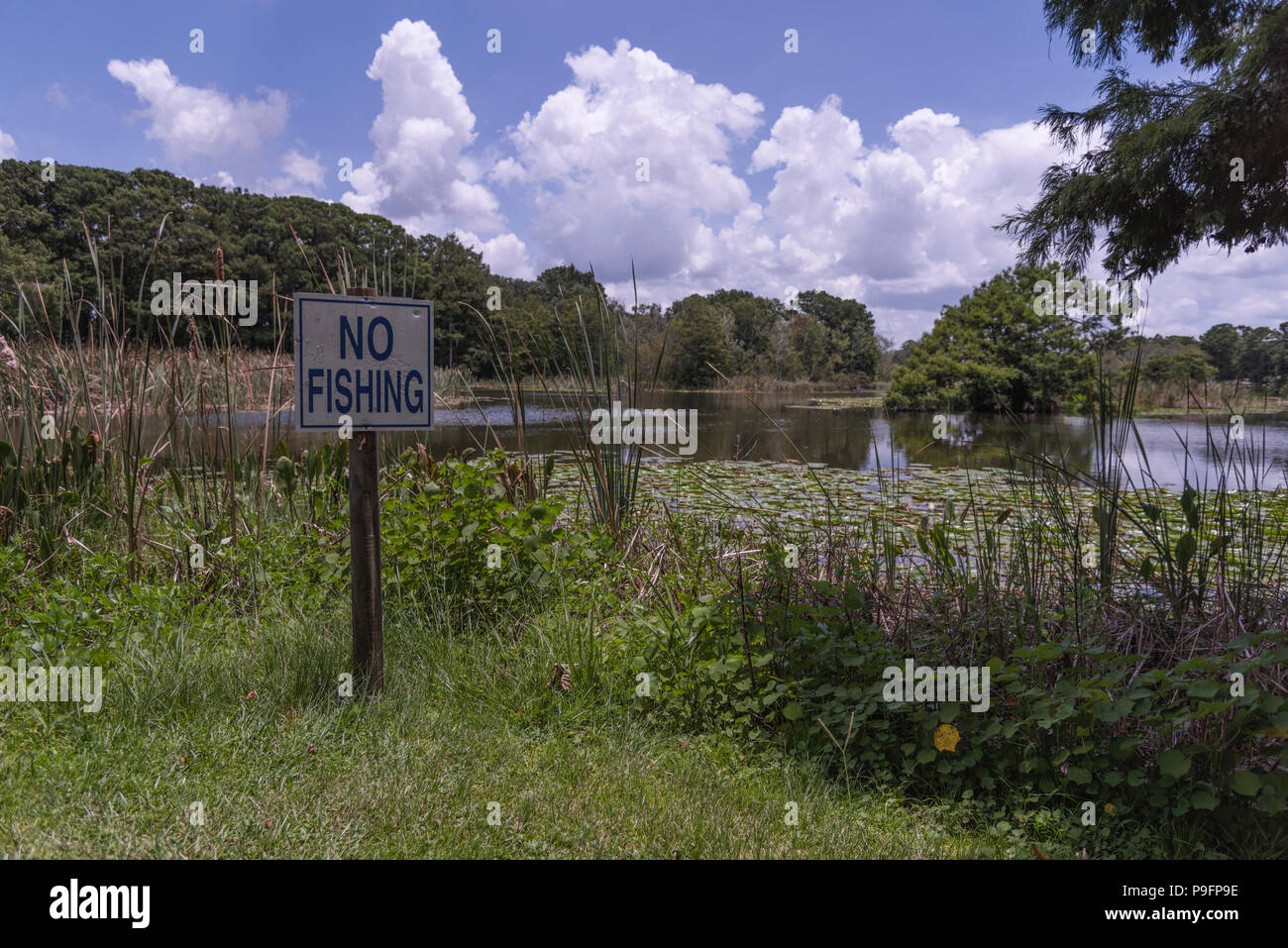 No Fishing sign posted Stock Photo - Alamy