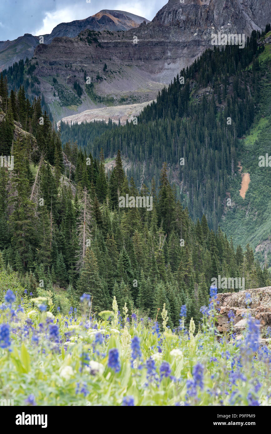 Alpine scene hi-res stock photography and images - Alamy