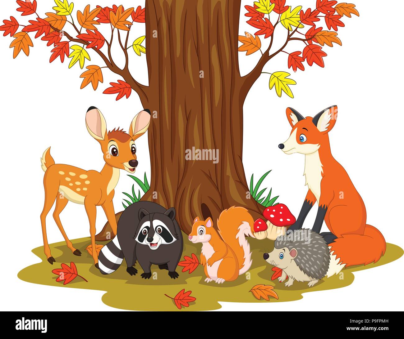Wildlife creatures collection Stock Vector Images - Alamy