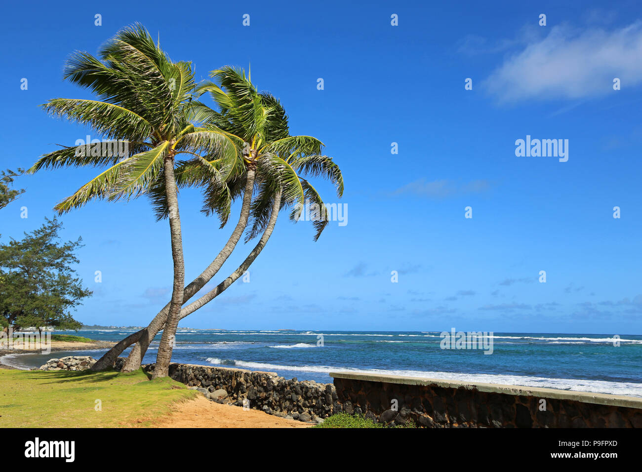Hauula hi-res stock photography and images - Alamy
