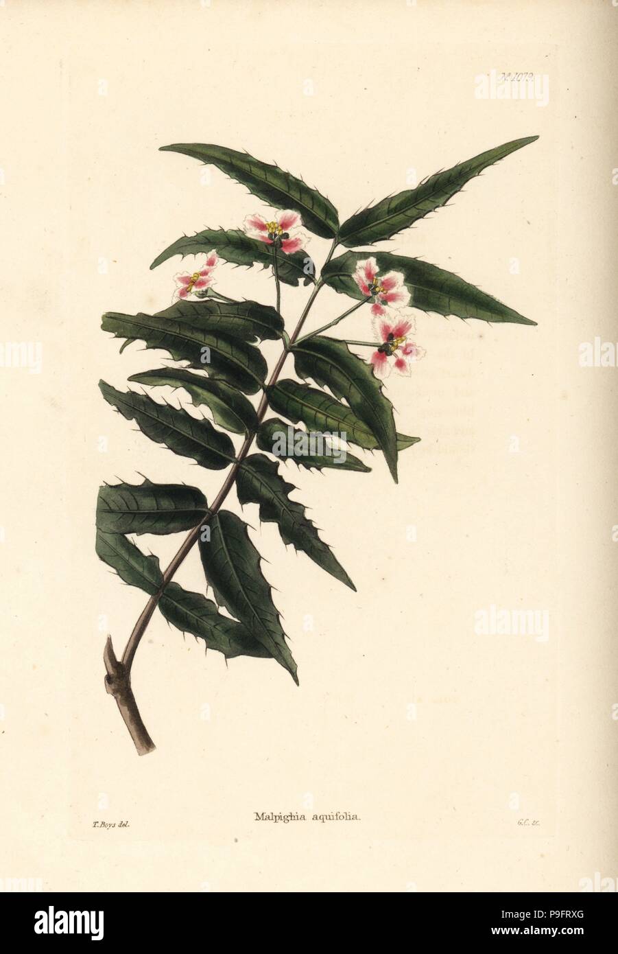 George nance hi-res stock photography and images - Alamy