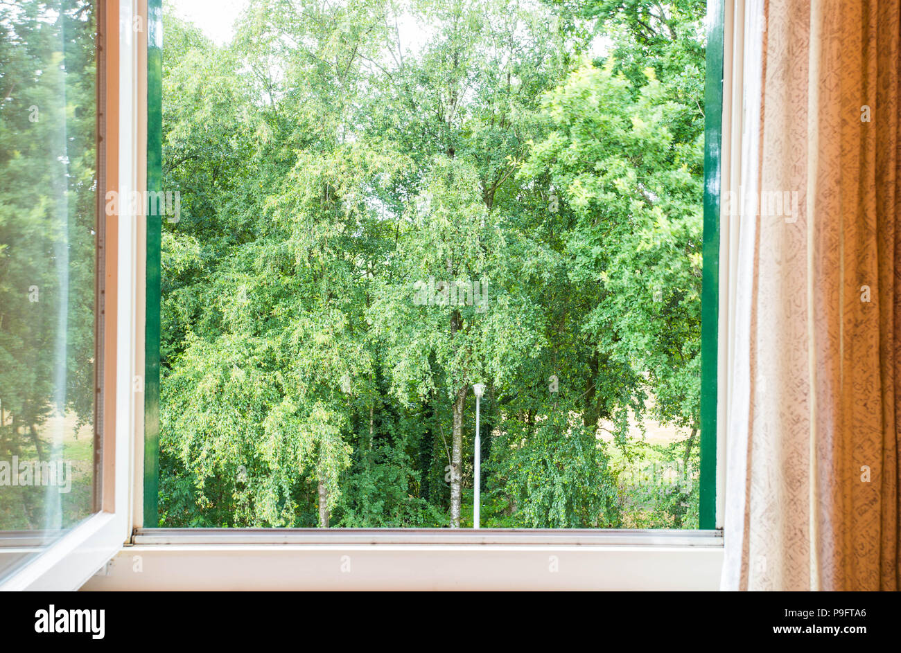 nature landscape with a view through a window with green trees Stock ...