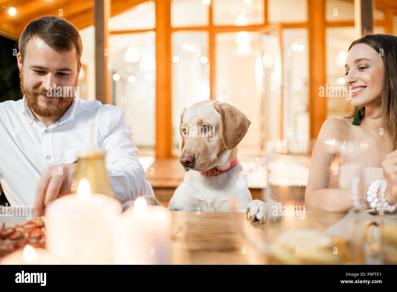 Dog dining with people near the house Stock Photo - Alamy
