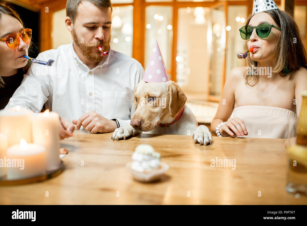 Friends celebrating dog's birthday Stock Photo - Alamy